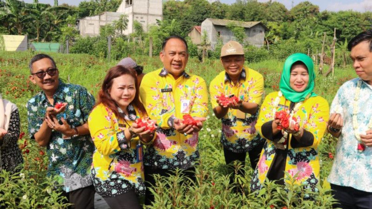 Pemkot Jakbar Ubah Lahan 1.839 Meter Jadi Kebun Tanaman Obat dan Buah