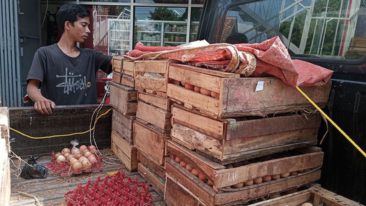 Harga Telur Ayam Ras di Pasar Tradisional Banyumas Turun