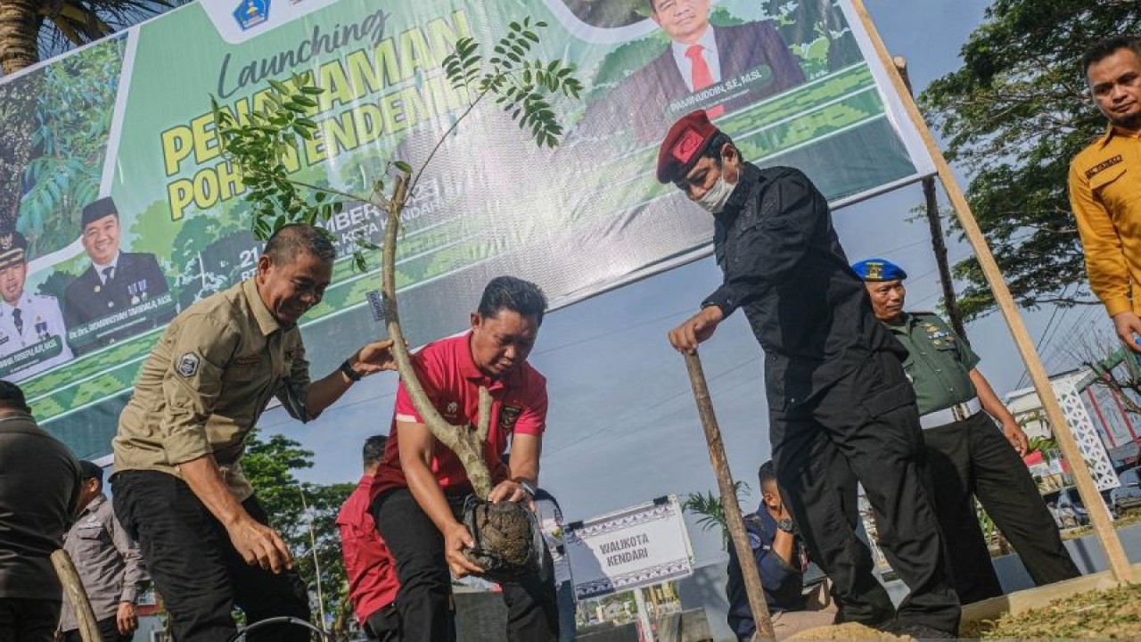 Pj.Walikota Kendari, Asmawa Tosepu (tengah pegang pohon) didampingi Kepala DLHK Kota Kendari ...
