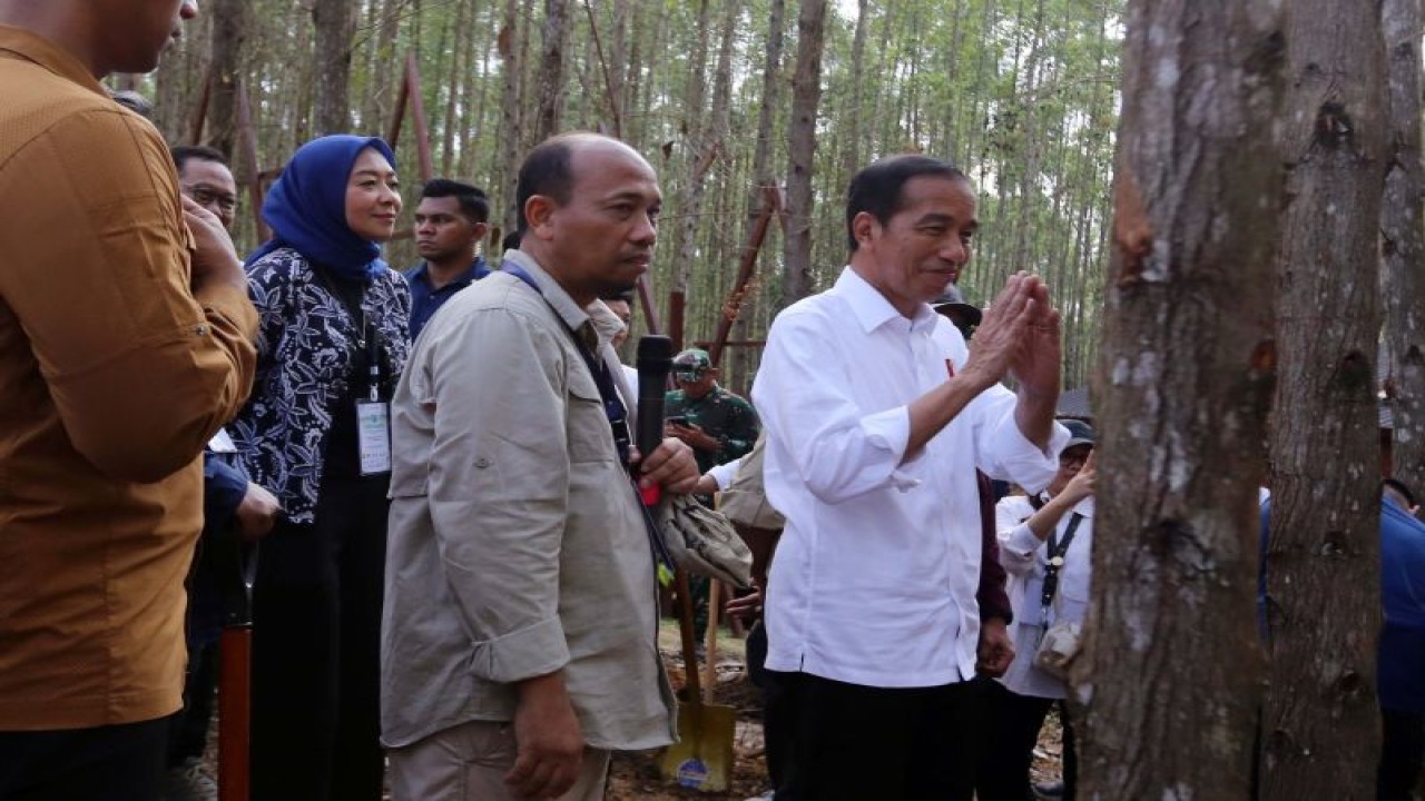Produsen AMDK Dukung Reforestrasi di Kawasan IKN