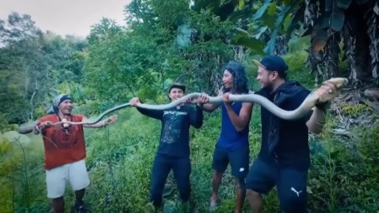 "Petualang Nusantara", Kisah Seru dan Penuh Inspirasi dari Pelosok ...